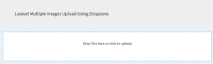 Implement Dropzone in Laravel | Tech Prastish